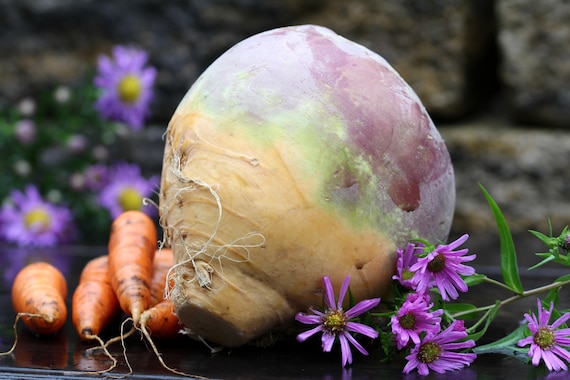 Brukiew – powrót w wielkim stylu - Dziennik szefa | Przepisy.pl